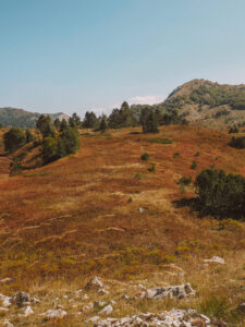Hiking in Sutjeska National Park: hikes & routes