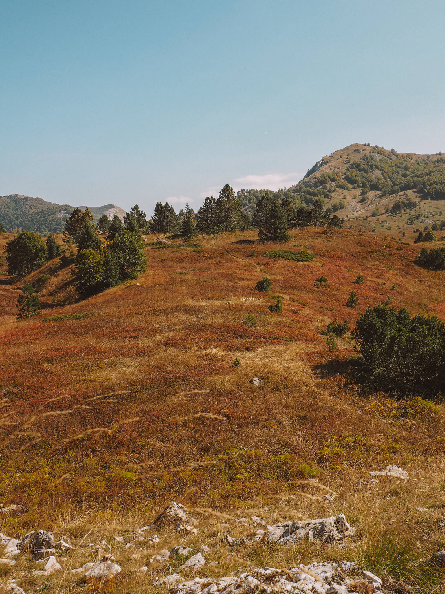 Hiking in Sutjeska National Park: hikes & routes
