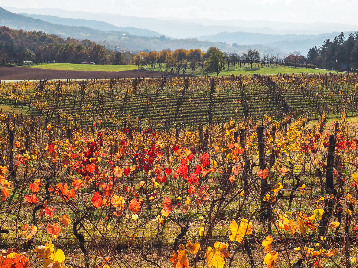 Die 13 schönsten Sehenswürdigkeiten in Banja Luka - Kathi Daniela