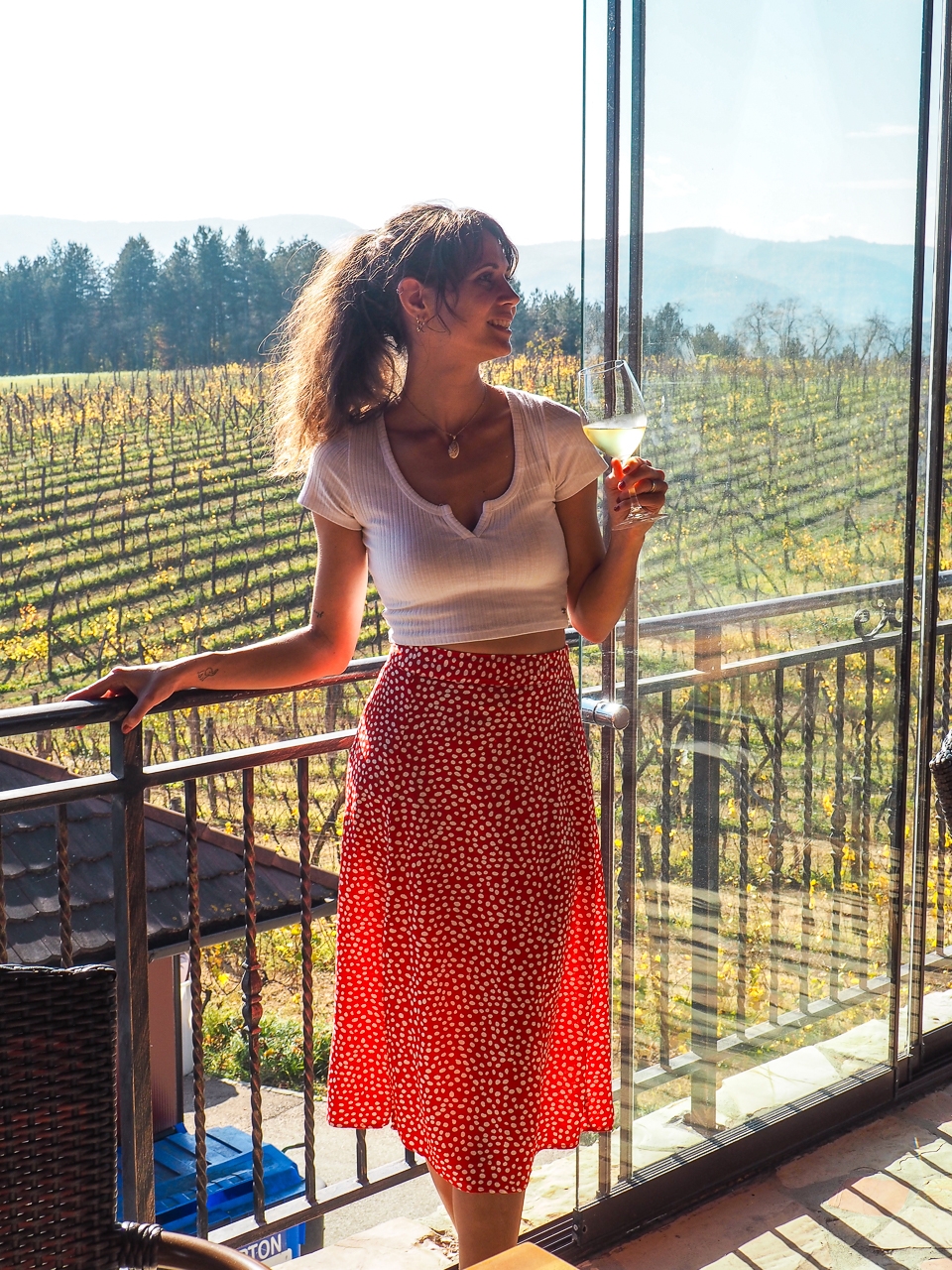 Die 13 schönsten Sehenswürdigkeiten in Banja Luka - Kathi Daniela