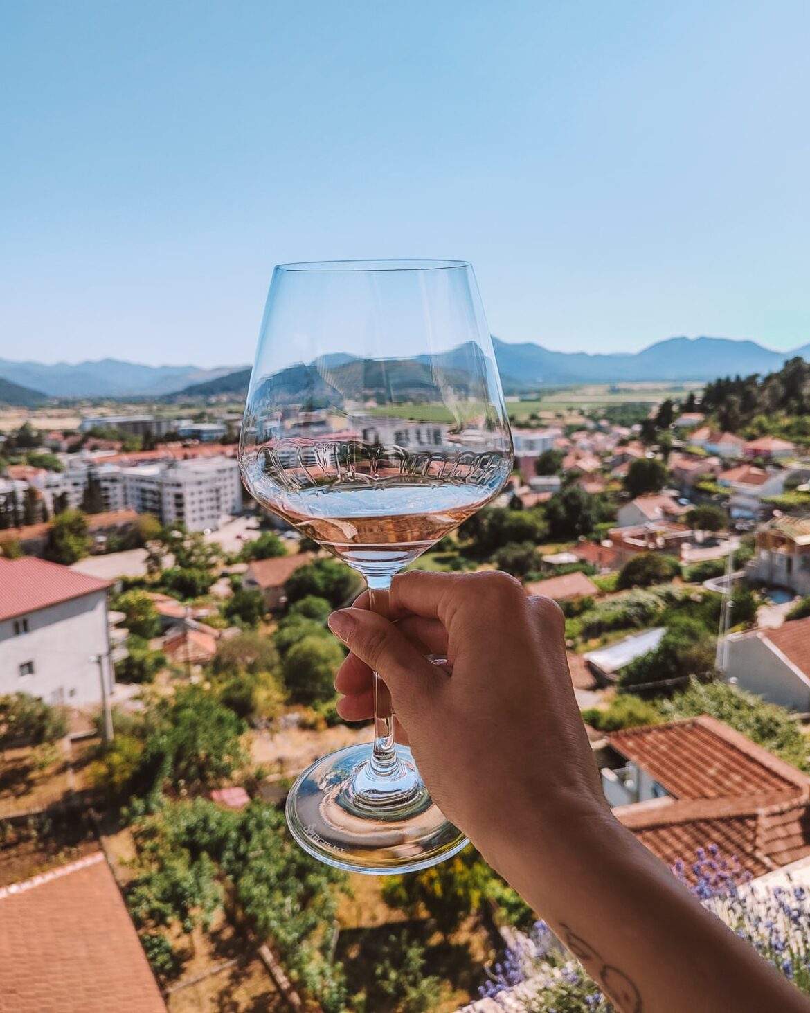 Wine region Bosnia and Herzegovina: My favourite wines & wineries